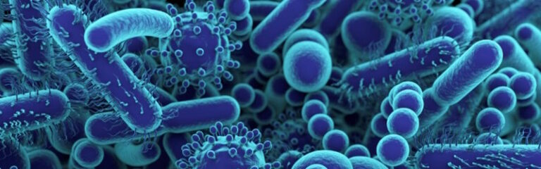 Welt des Darms: Prae-, Pro-, Postbiotika. equalance München